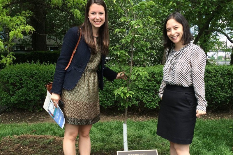 Highland Robotics Team Supports Finley’s Green Leap Forward – Finley's ...